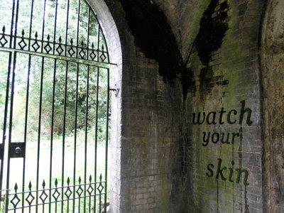 Anna Garforth, graffiti écologique - Paperblog