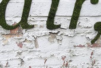 Anna Garforth, graffiti écologique - Paperblog