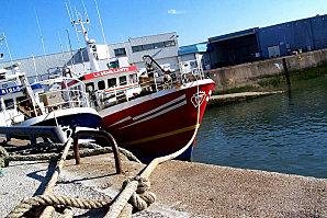 Format vertical ou horizontal : comment choisir ? | À Voir