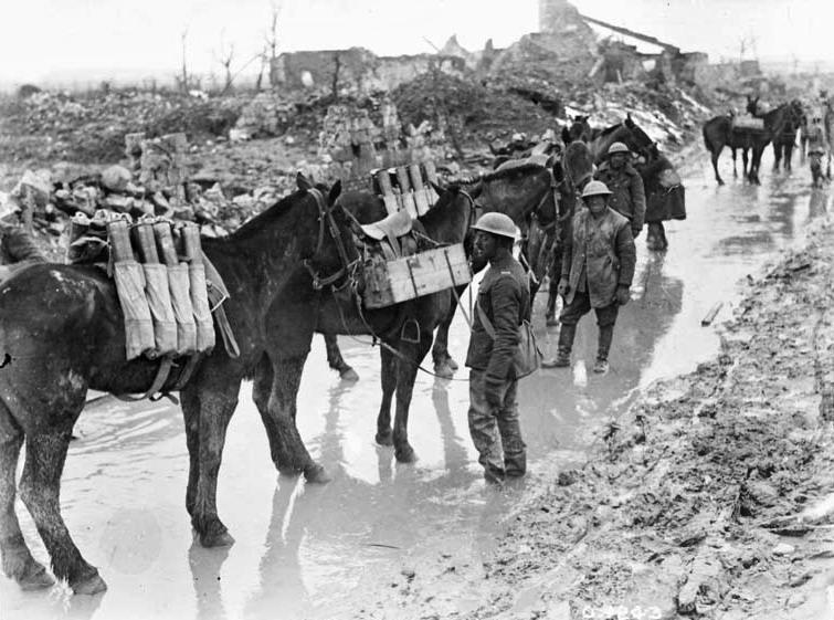 WW1 Images Archives Canada - Archives Premiere Guerre Mondiale Canada ...