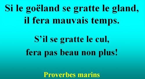 proverbes et dictons ! | À Voir