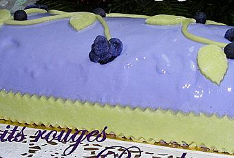 Bûche aux fruits rouges, pistache et citron vert - Paperblog