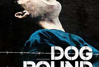 Dog Pound - Paperblog