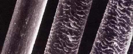 La porosite est plus importante a comprendre que votre type de cheveu ...