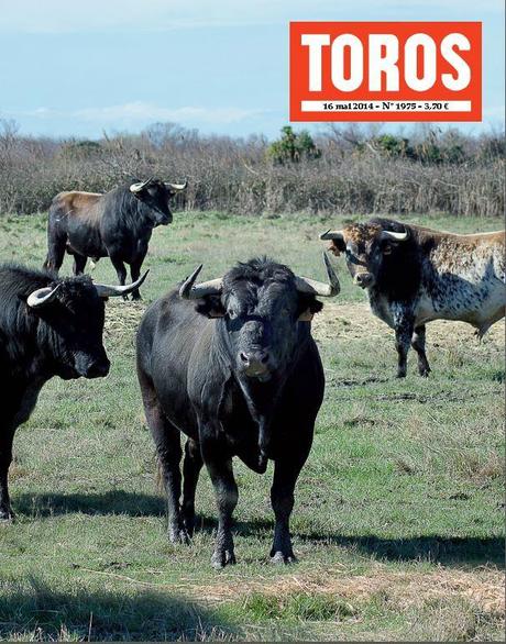 Le nouveau numero de toros | À Voir