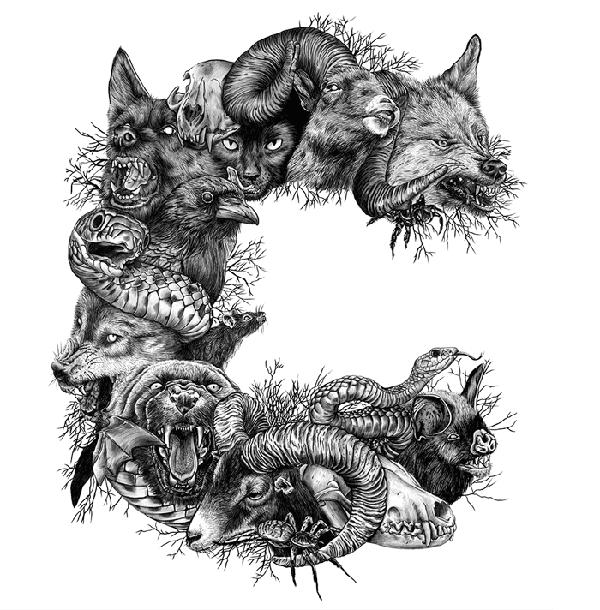 Fortifem | À Découvrir