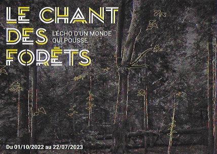 Le chant des forêts - À Lire