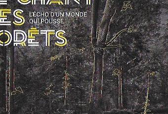 Le chant des forêts - À Lire